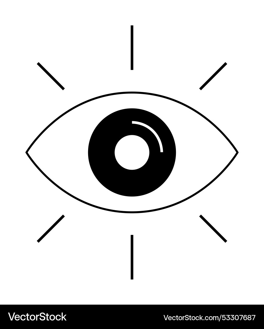 Black and white eye with radiating lines a symbol Vector Image