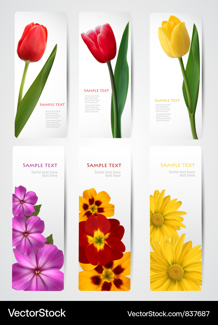 Colorful Flower Banners Royalty Free Vector Image