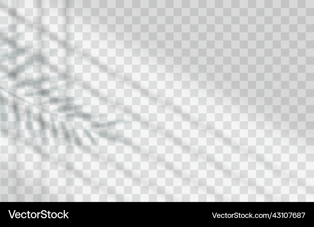 Shadow overlay effect Royalty Free Vector Image