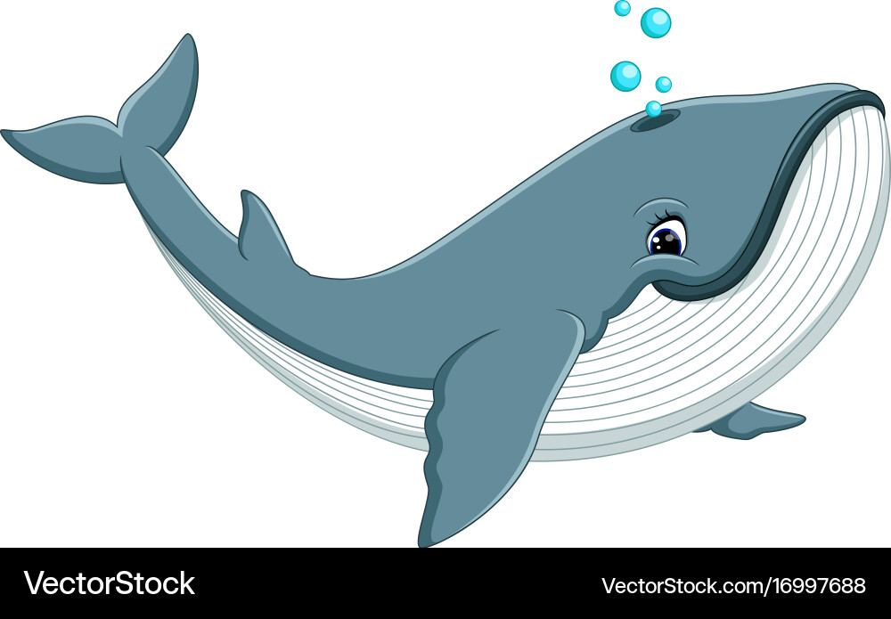 Cute whale cartoon Royalty Free Vector Image - VectorStock