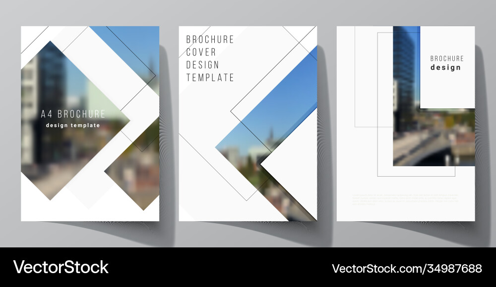 Layout a4 format cover mockups design Royalty Free Vector