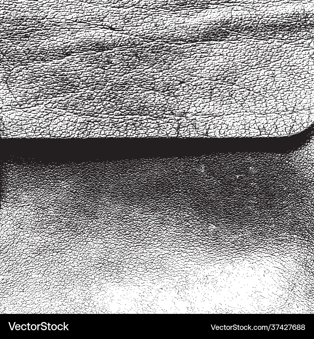 Leather overlay texture Royalty Free Vector Image