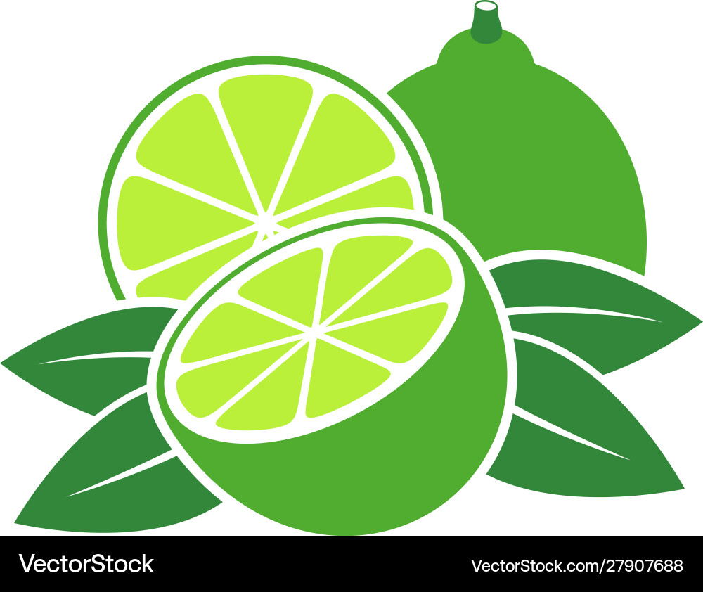 Lime Royalty Free Vector Image - VectorStock