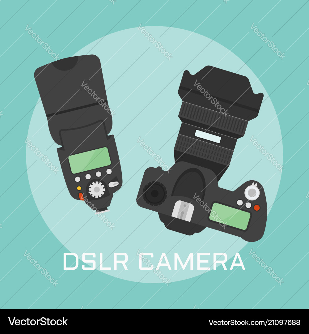 Professional dslr photo camera Royalty Free Vector Image