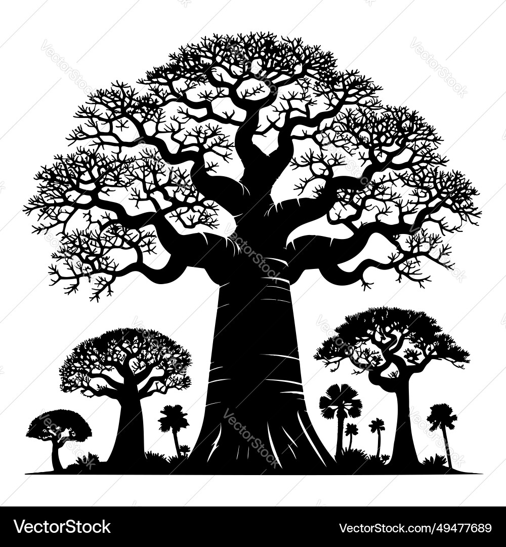 Baobab Trees Silhouette - African Landscape Vector Image