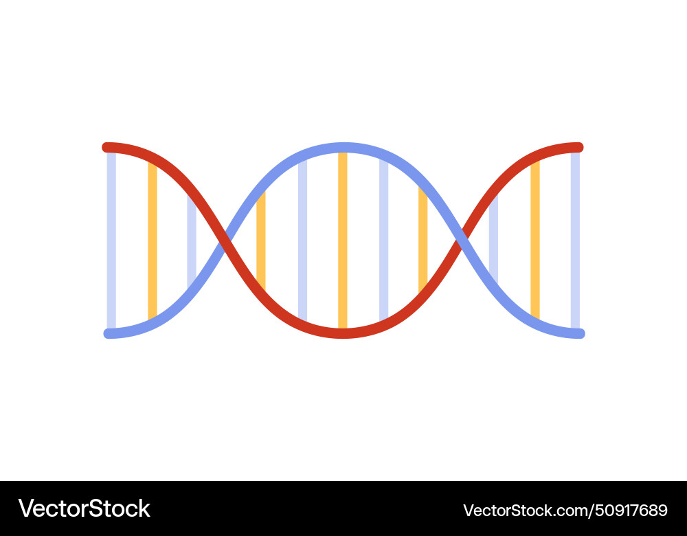 Dna helix scientific model of molecule Royalty Free Vector