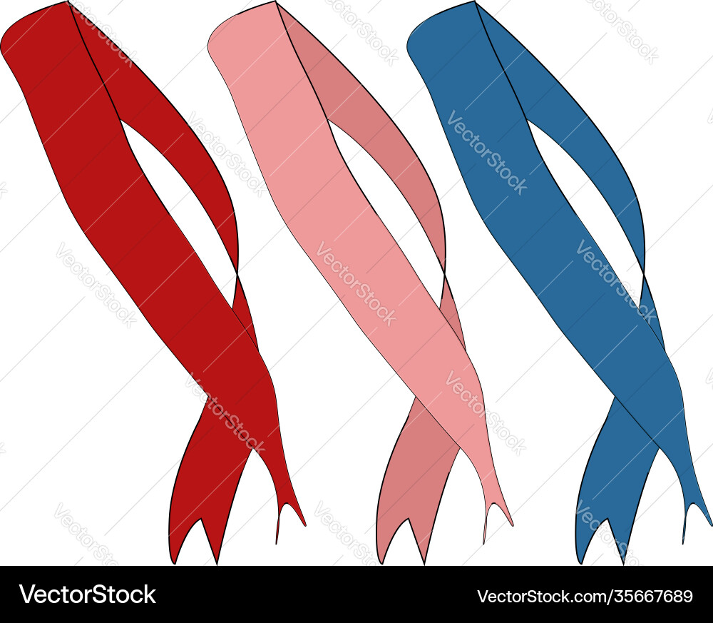 Elegant Pageant Sash Royalty Free Vector Image