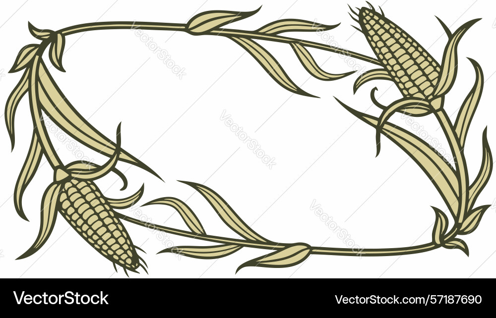Corn cobs and stalks decorative border art design Vector Image