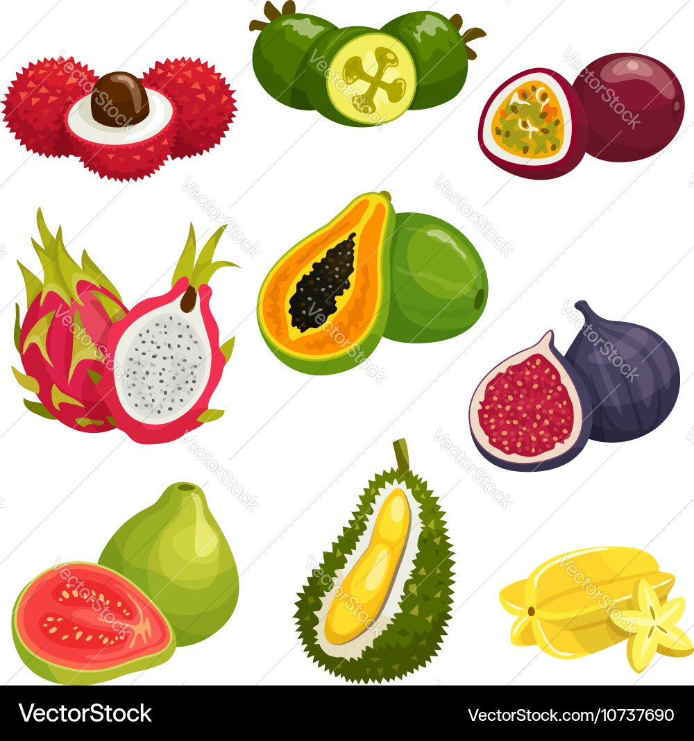 Tropical Fruit Icons - Diverse Selection Vector Image