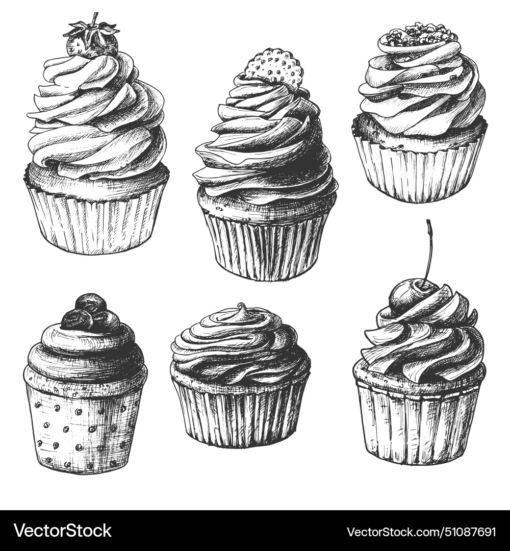 Hand drawn cupcakes set of vintage food sketches Vector Image