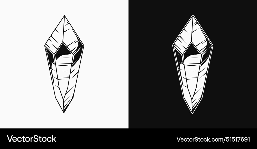 Monochrome crystal gem on black white background Vector Image