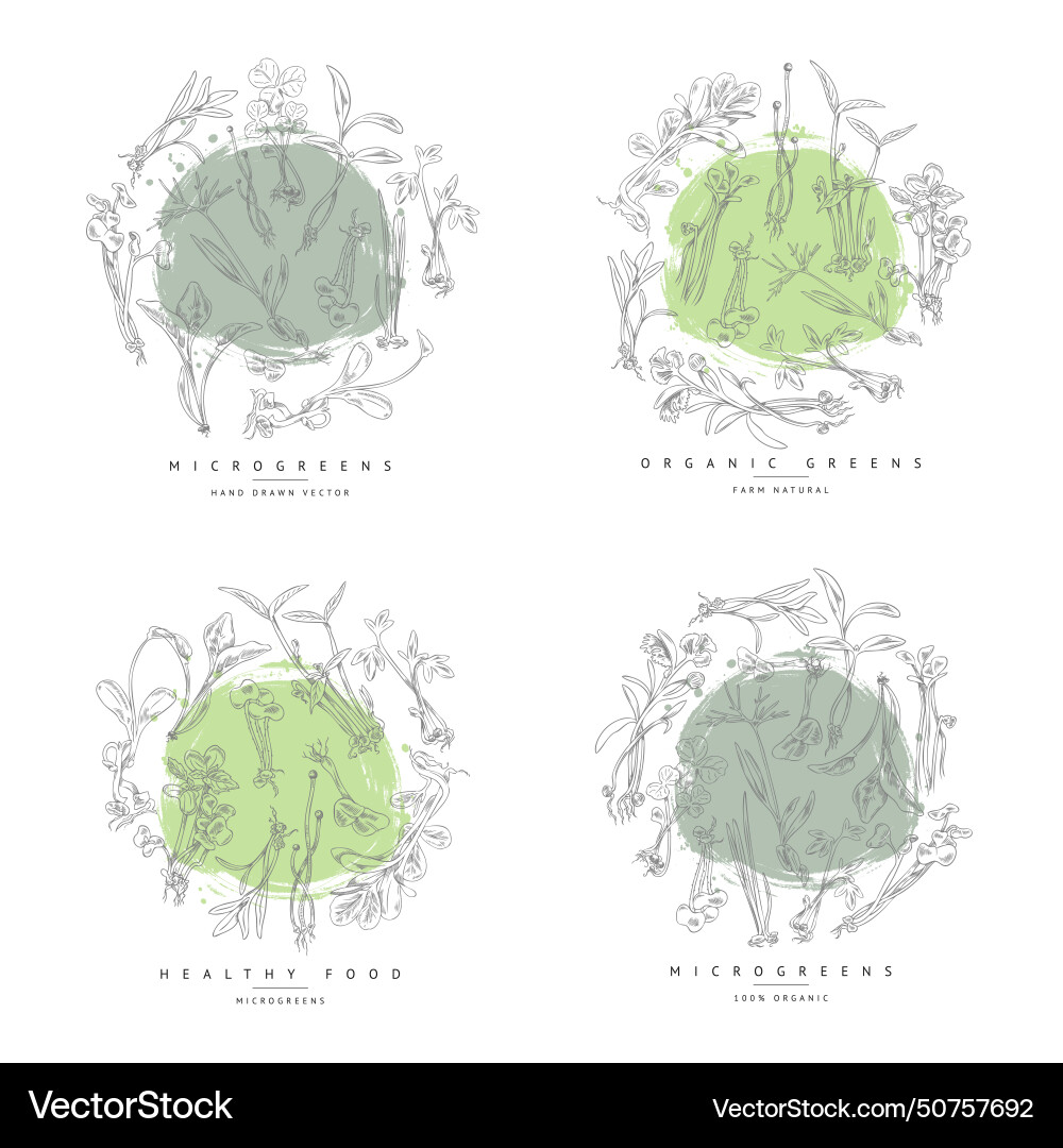 Engraved microgreens round labels set hand Vector Image