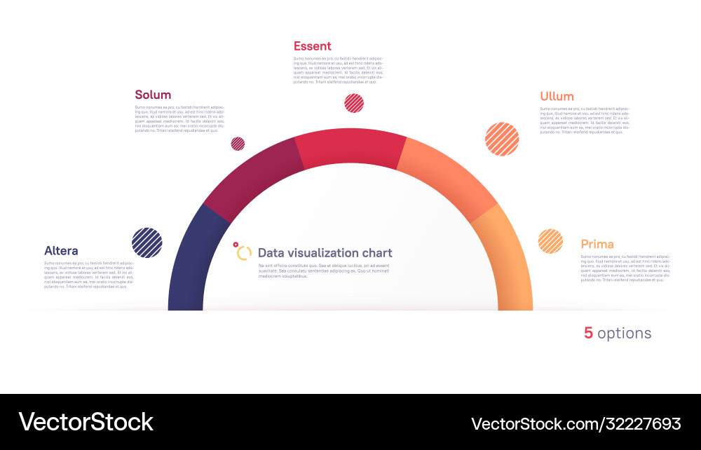 Circle chart design modern template Royalty Free Vector