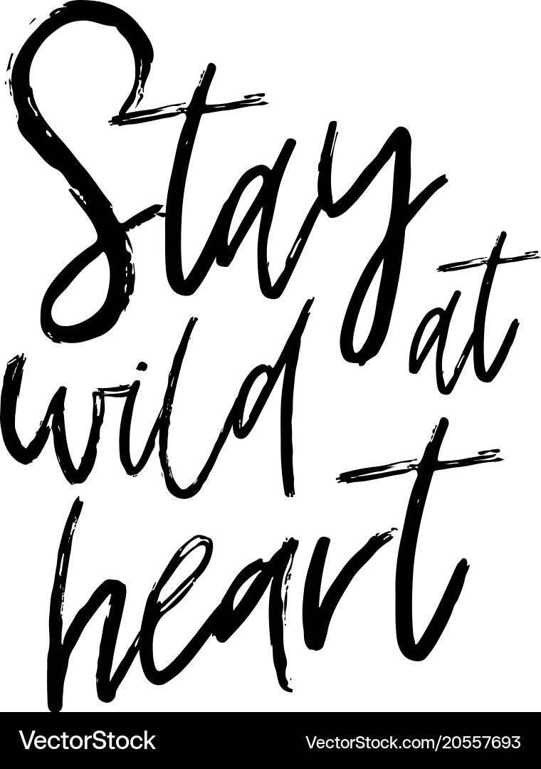 Hand drawn poster Royalty Free Vector Image - VectorStock