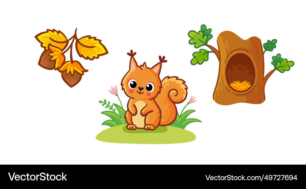 Adorable Squirrel Nut Collection Royalty Free Vector Image