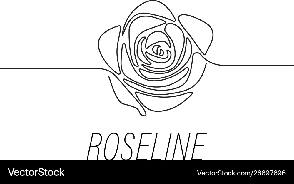 Rose line graphic design template isolated Vector Image
