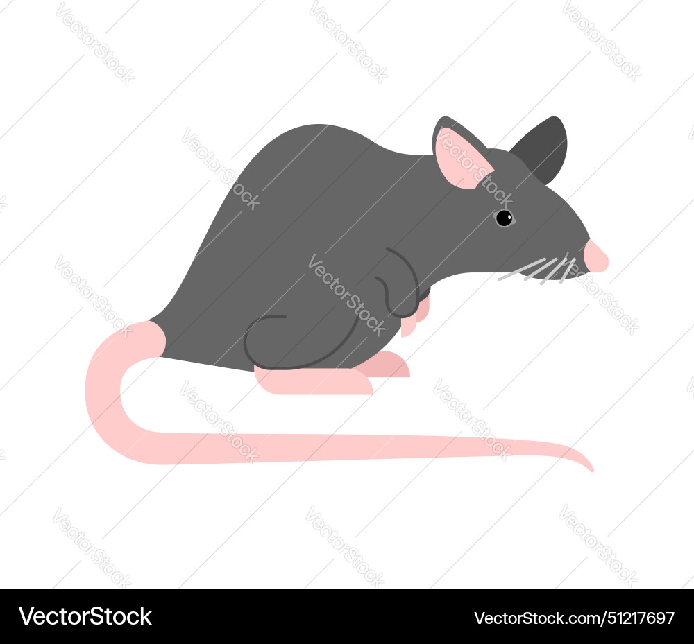 Gray mouse isolated grey mice Royalty Free Vector Image
