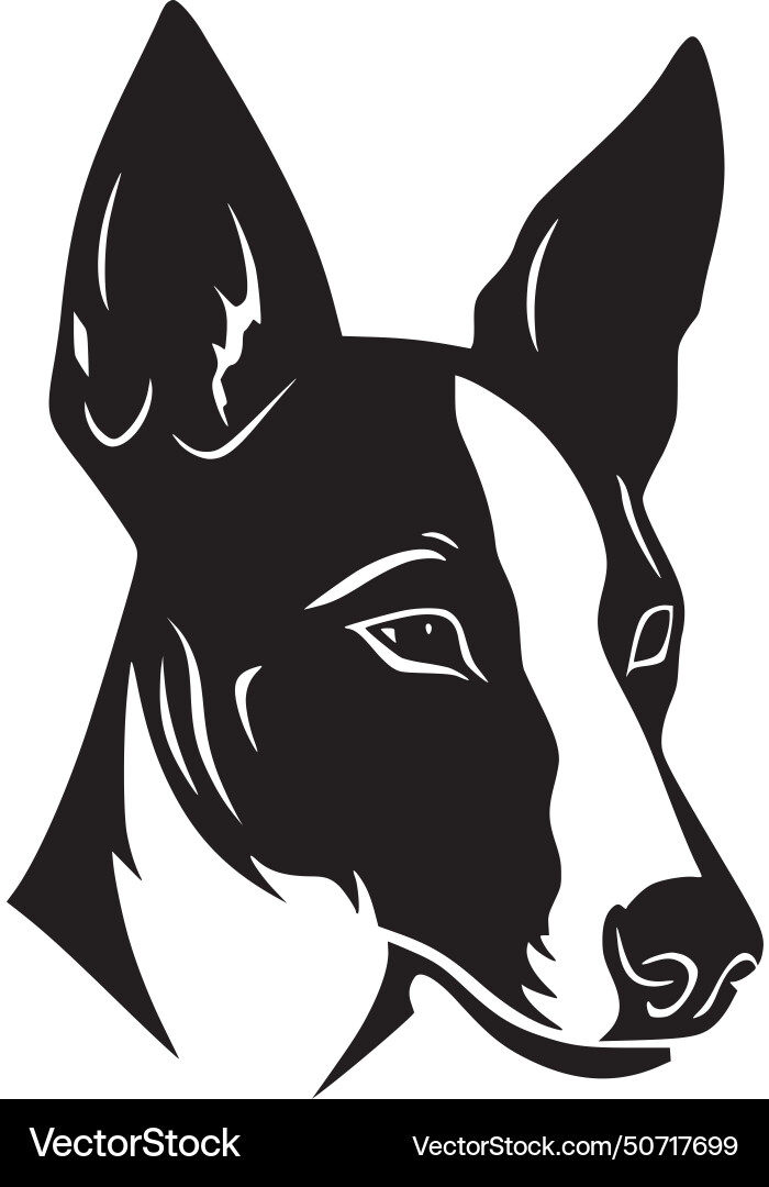 Basenji - black and white Royalty Free Vector Image