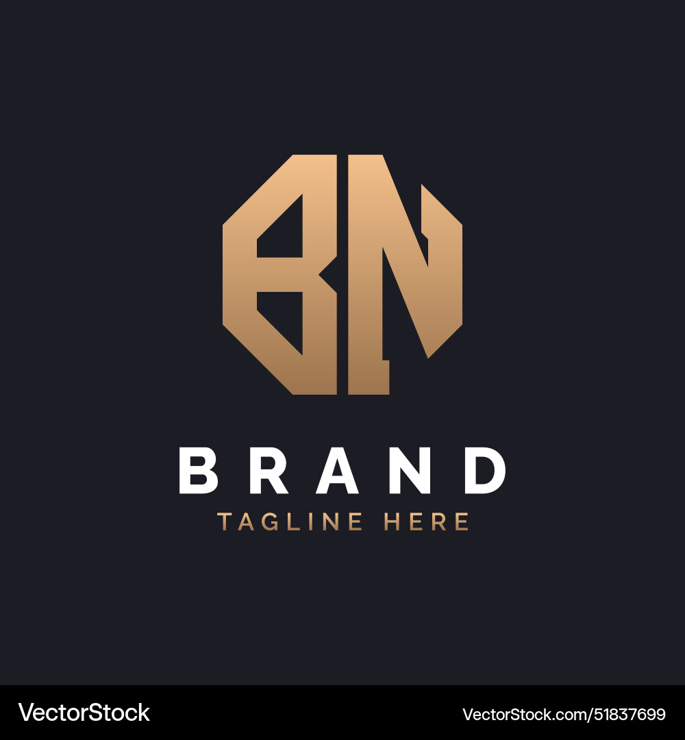 Bn logo design modern minimal elegant and luxury Vector Image