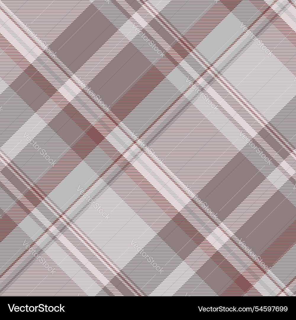 Ornament plaid pattern texture empty fabric Vector Image