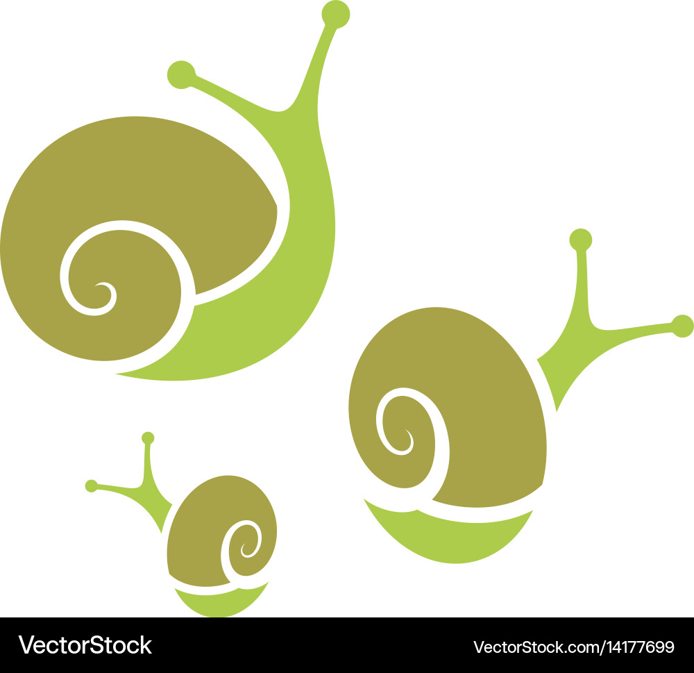 Snail Royalty Free Vector Image - VectorStock