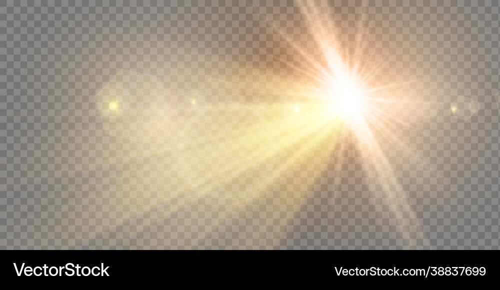 Transparent sunlight special lens flash Royalty Free Vector