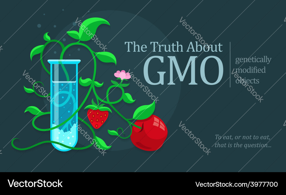 Gmo genetically modified Royalty Free Vector Image