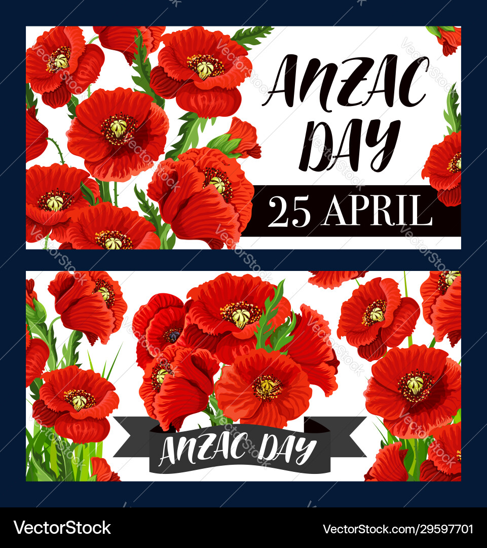 Anzac Day Poppy Remembrance Royalty Free Vector Image