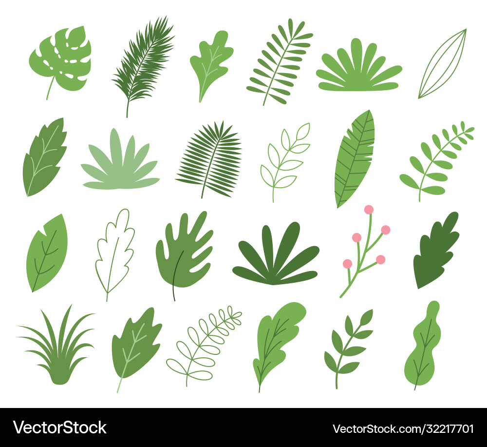 Leaves set Royalty Free Vector Image - VectorStock