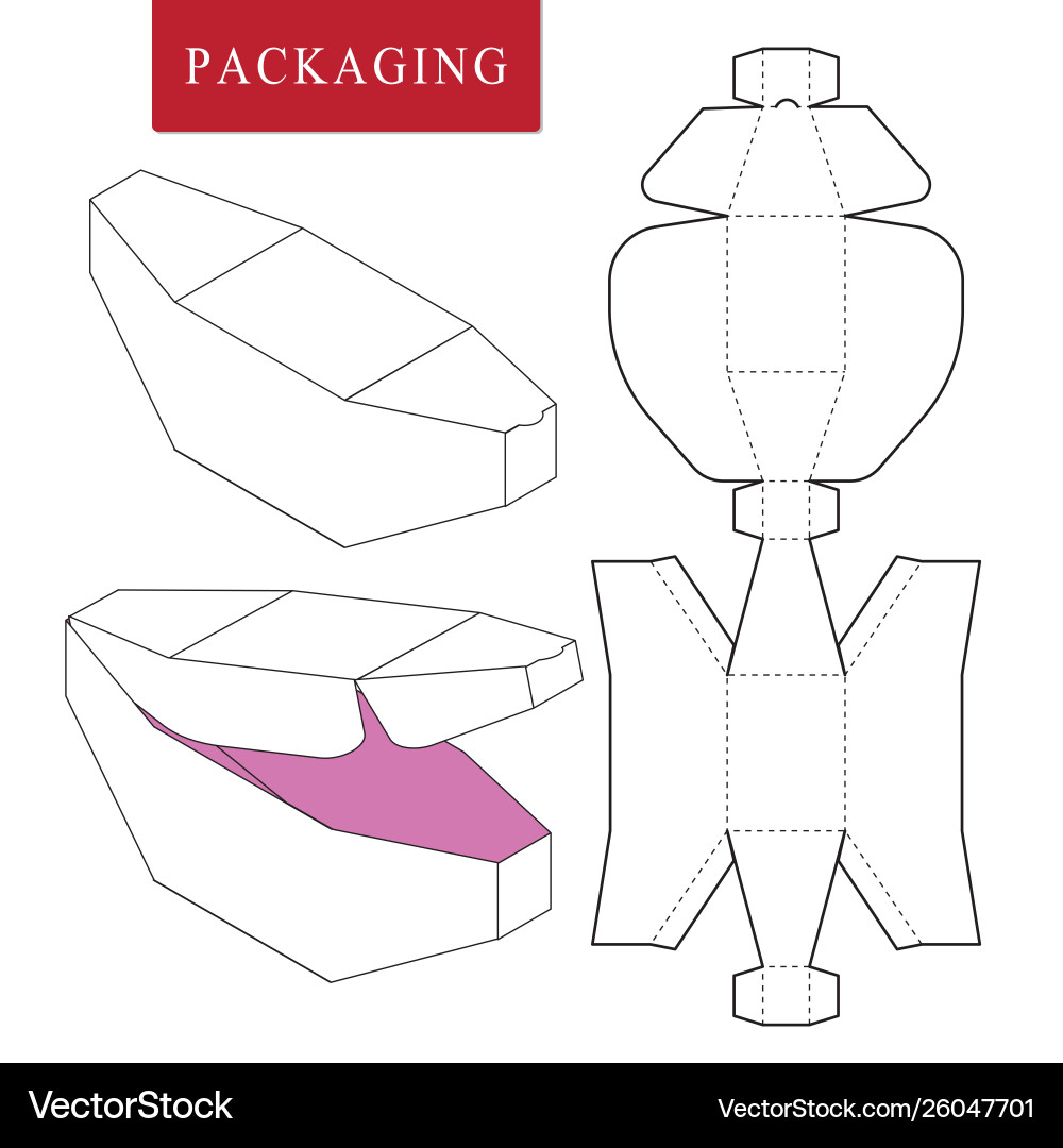 Package template box Royalty Free Vector Image