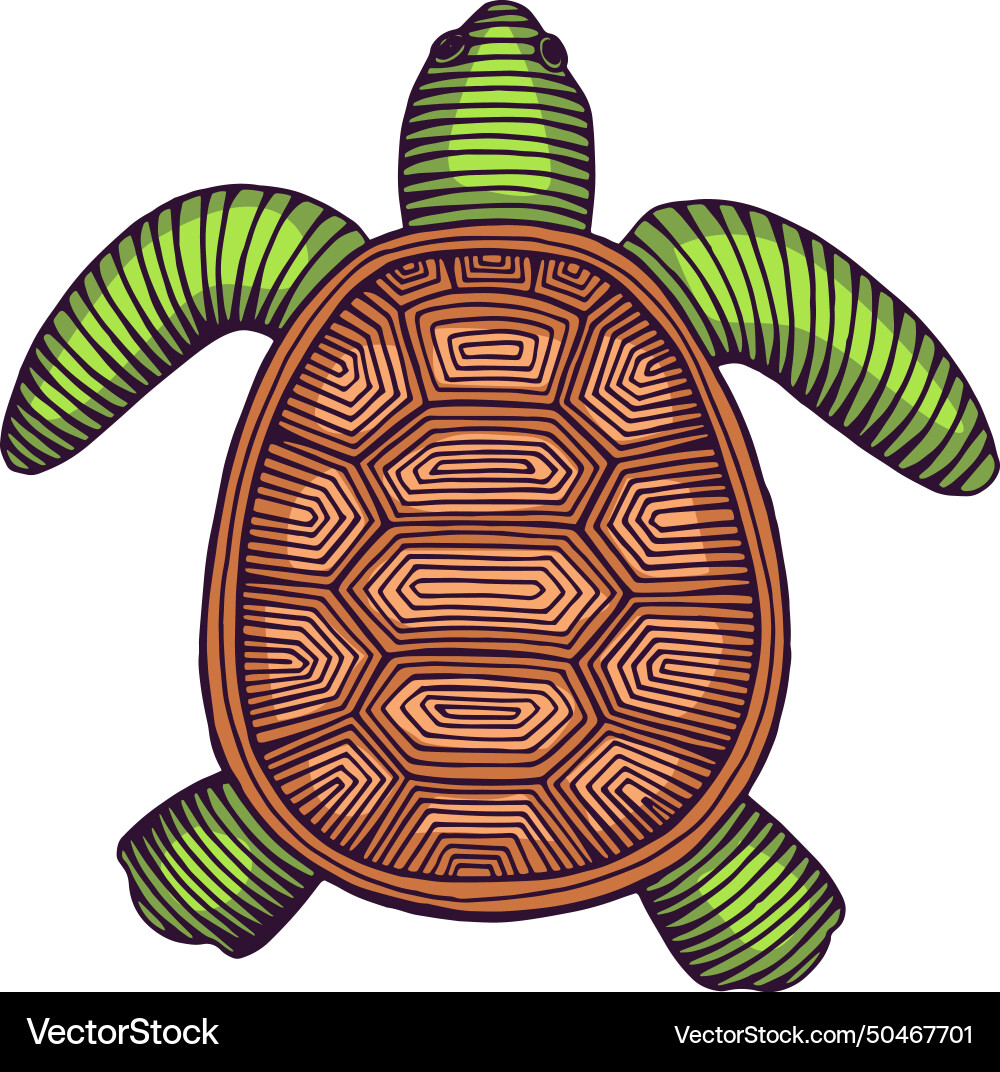Vintage hand drawn line art tortoise engraved Vector Image