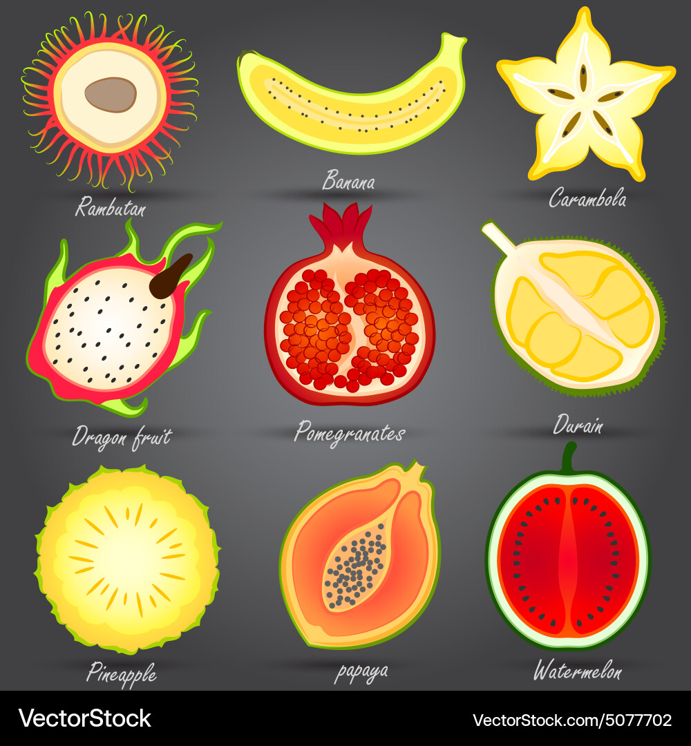 Fruits set Royalty Free Vector Image - VectorStock