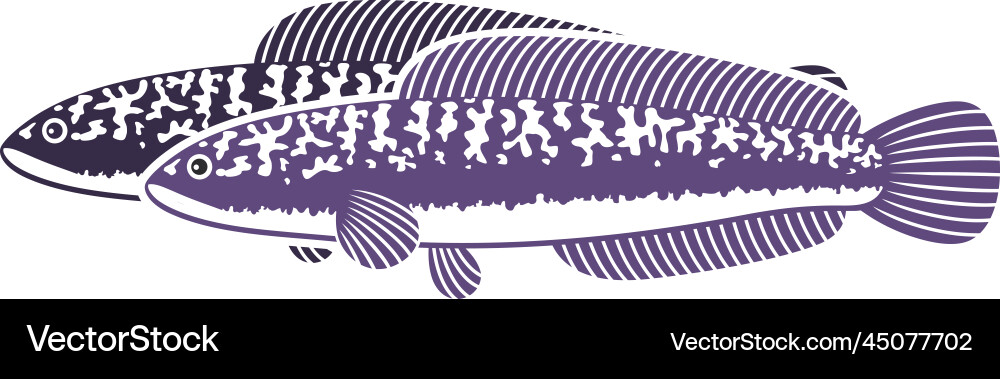 Snakehead Royalty Free Vector Image - VectorStock