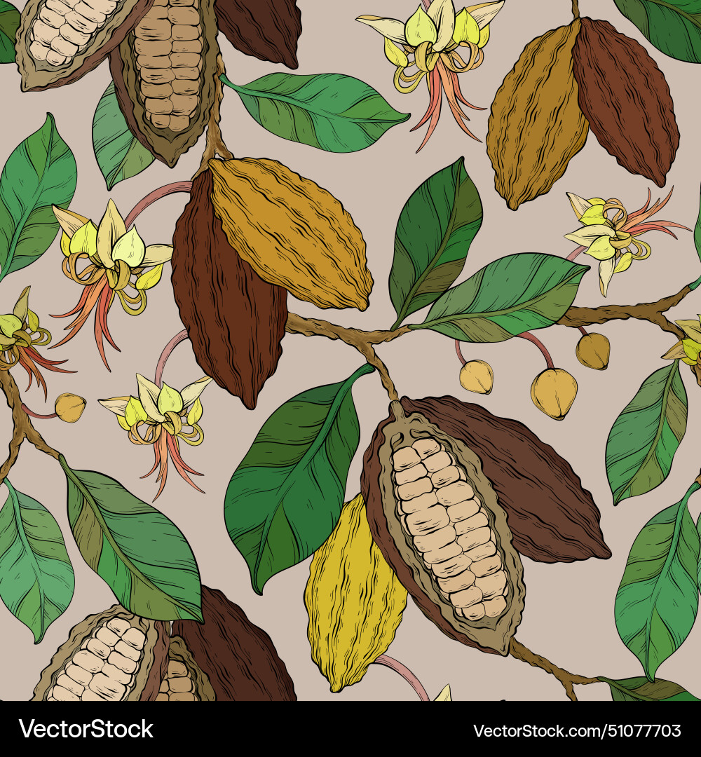 Cocoa seamless pattern Royalty Free Vector Image