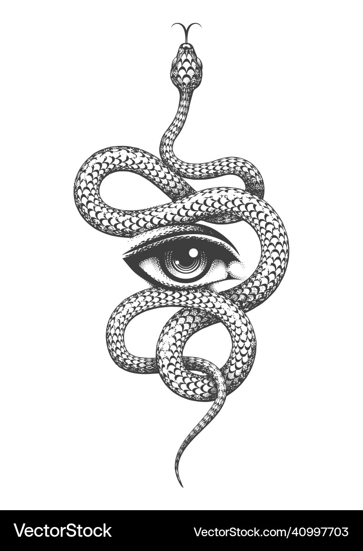 Eye & Serpent Symbol of Wisdom Royalty Free Vector Image
