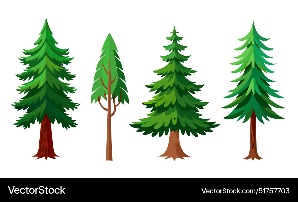 Pine tree isolated flat on white background Vector Image