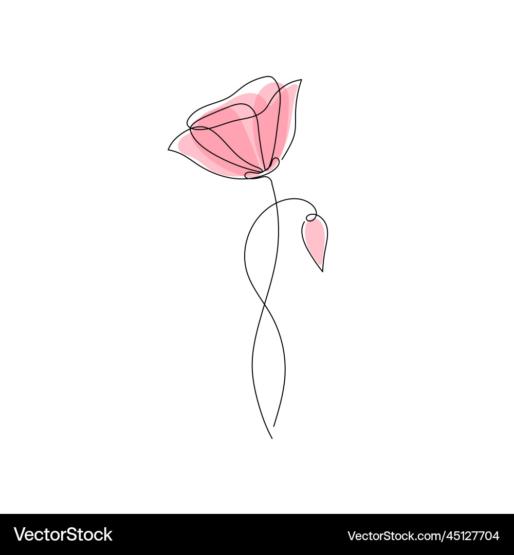Single Poppy Line Art Royalty Free Vector Image
