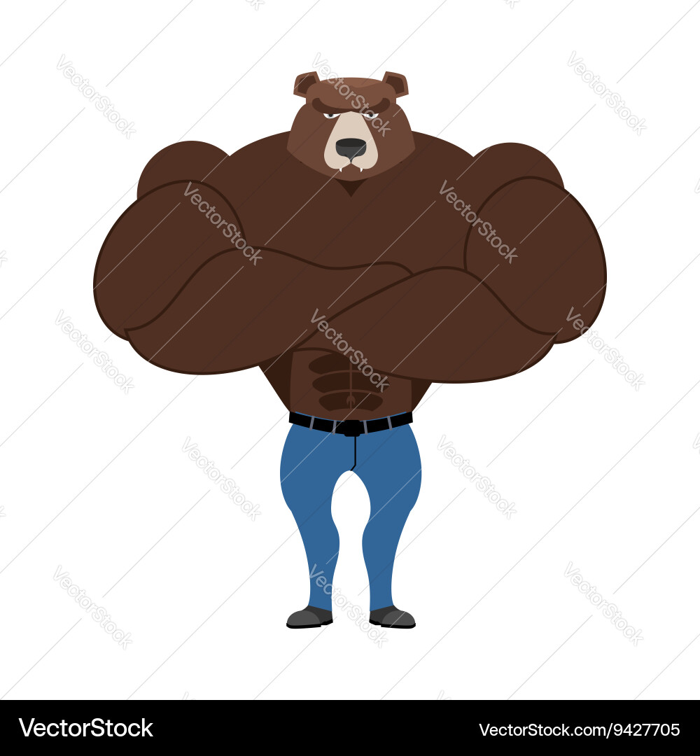 Strong bear with big muscles powerful wild beast Vector Image