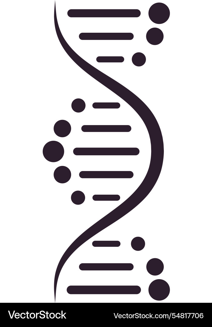 Dna molecule structure with nucleotides forming Vector Image