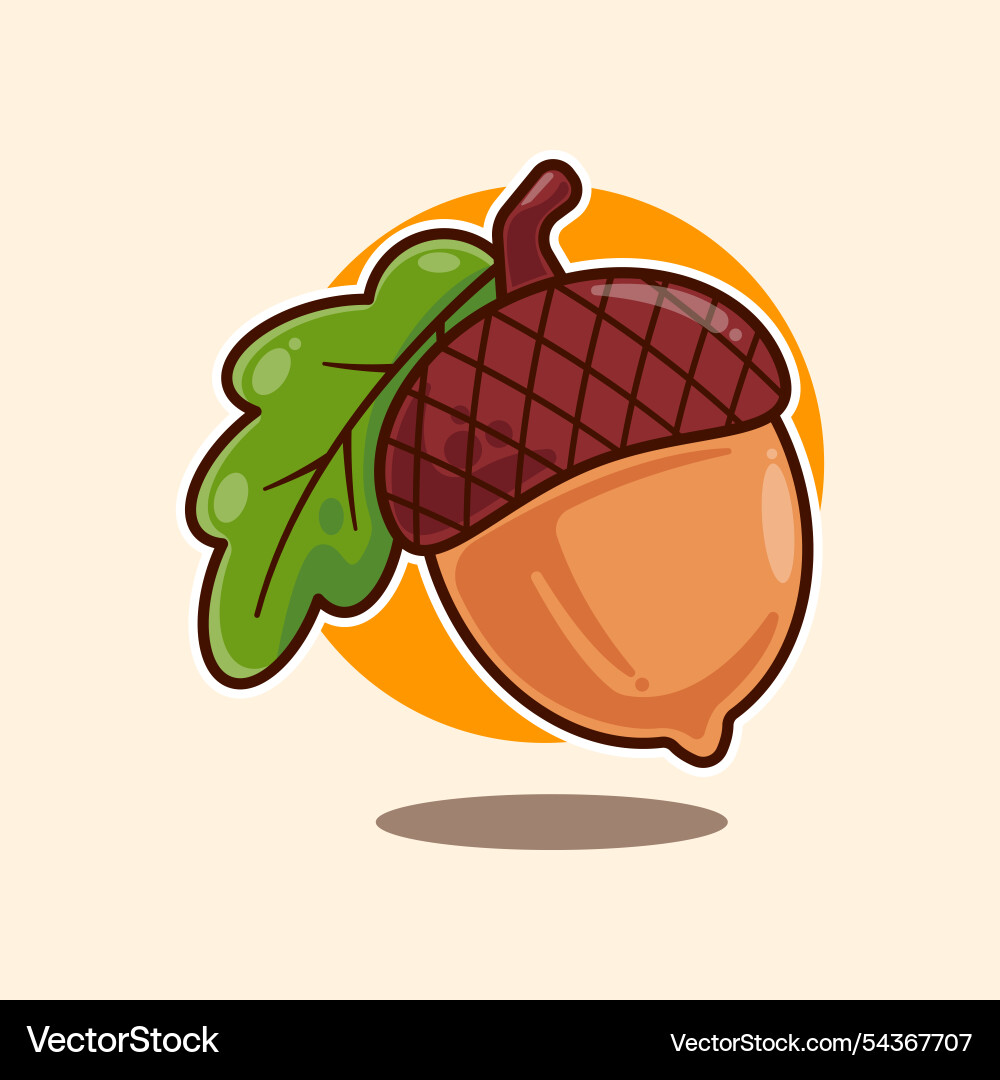 Acorn - cartoon Royalty Free Vector Image - VectorStock