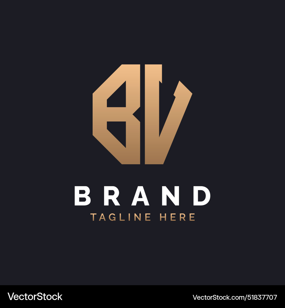 Bv logo design modern minimal elegant and luxury Vector Image