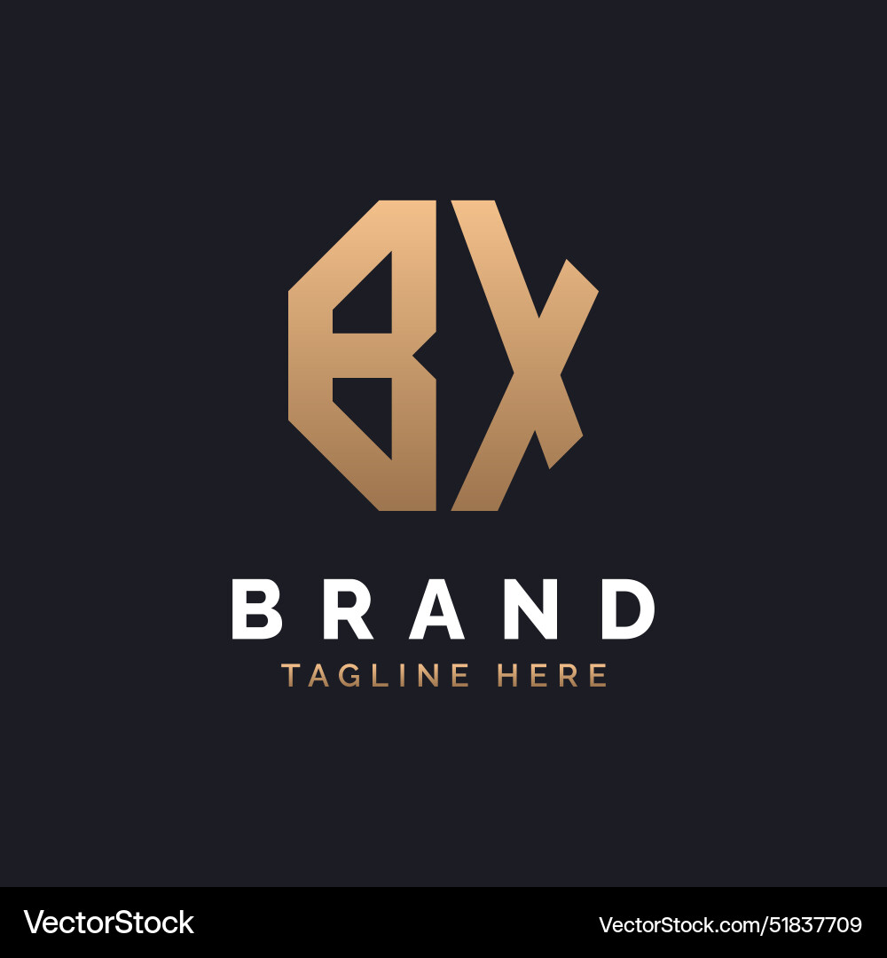 Bx logo design modern minimal elegant and luxury Vector Image