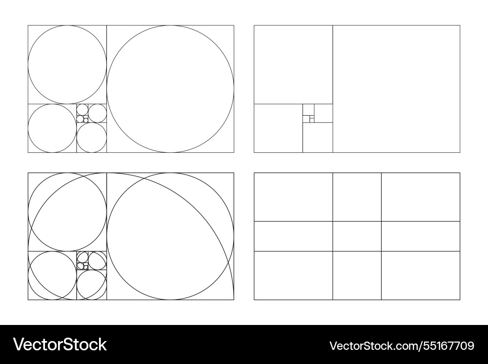 Golden ratio template method section Royalty Free Vector
