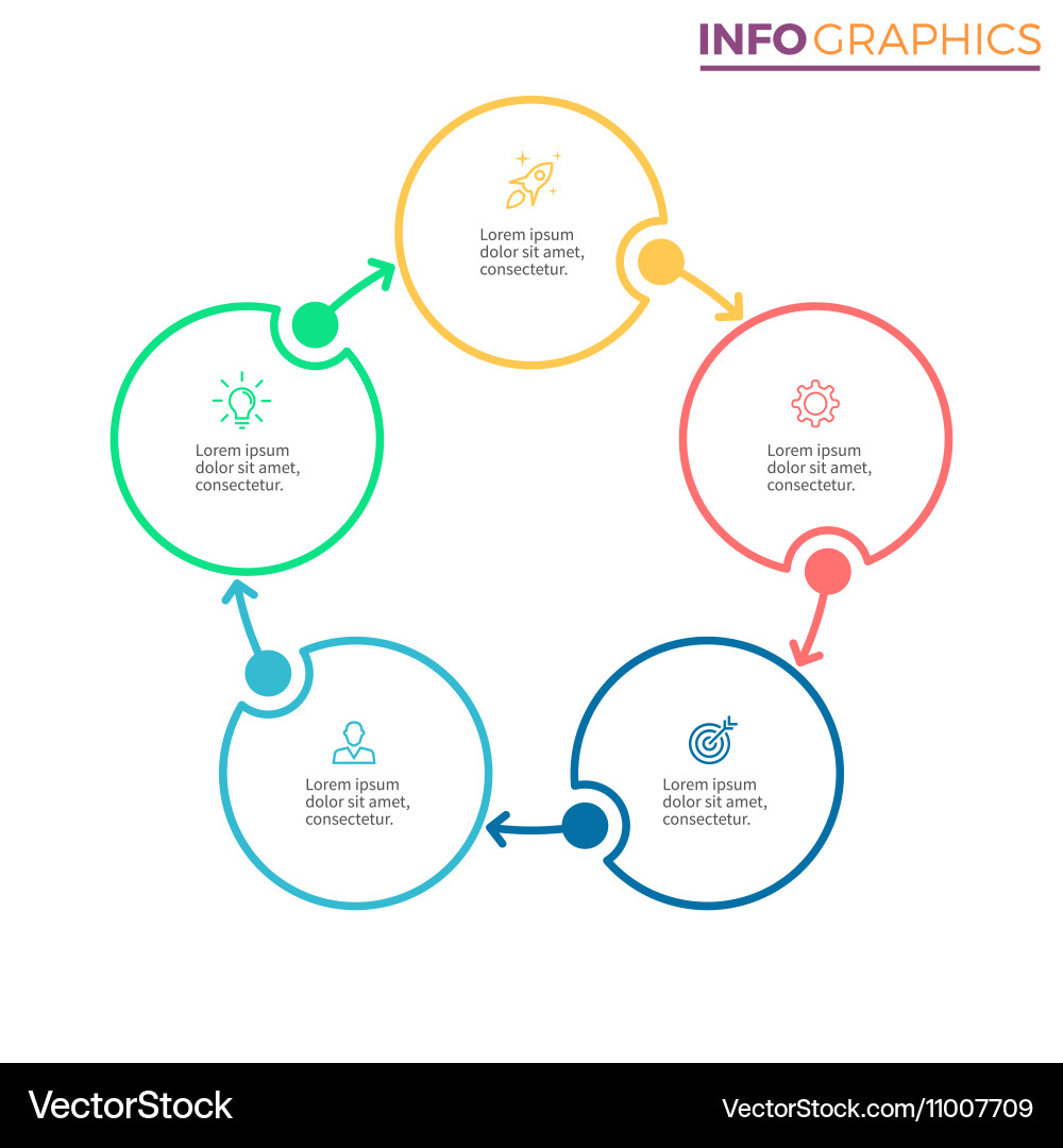 Linear infographics chart with 5 steps options Vector Image
