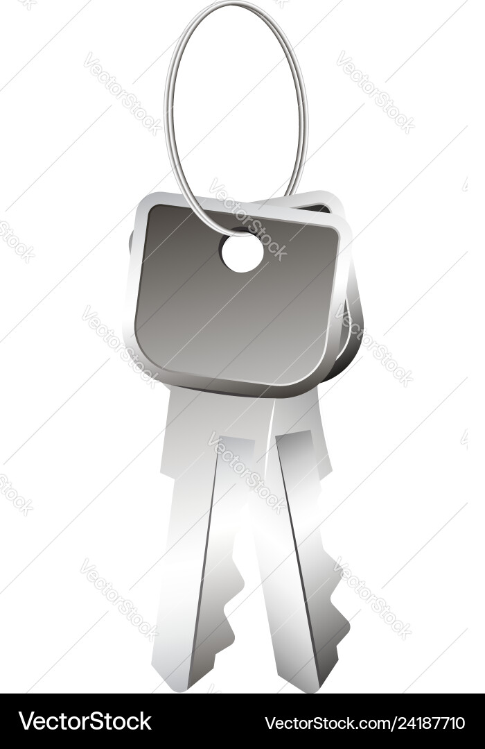 Metal keys realistic Royalty Free Vector Image