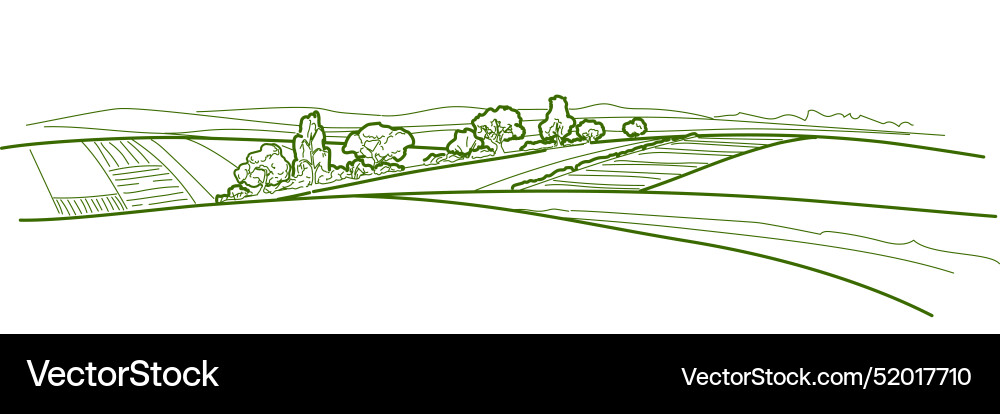 Sketch green grass field on small hills Royalty Free Vector