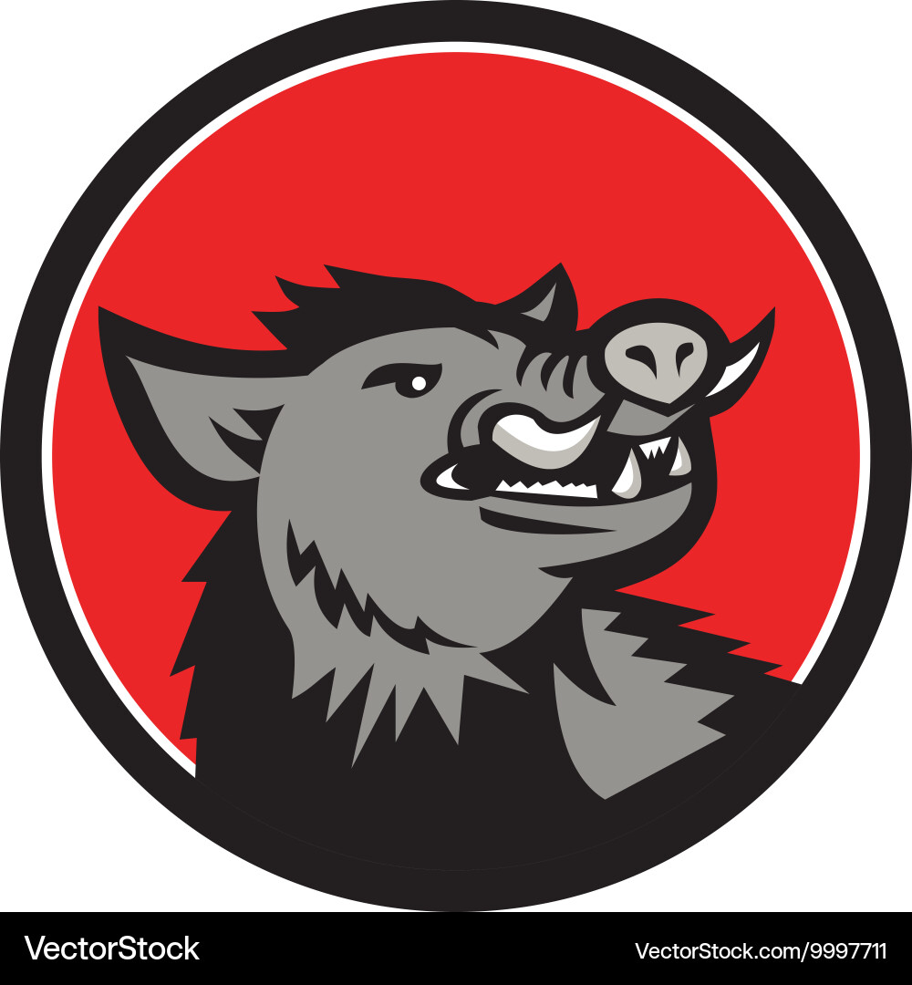 Wild boar head angry looking up circle retro Vector Image
