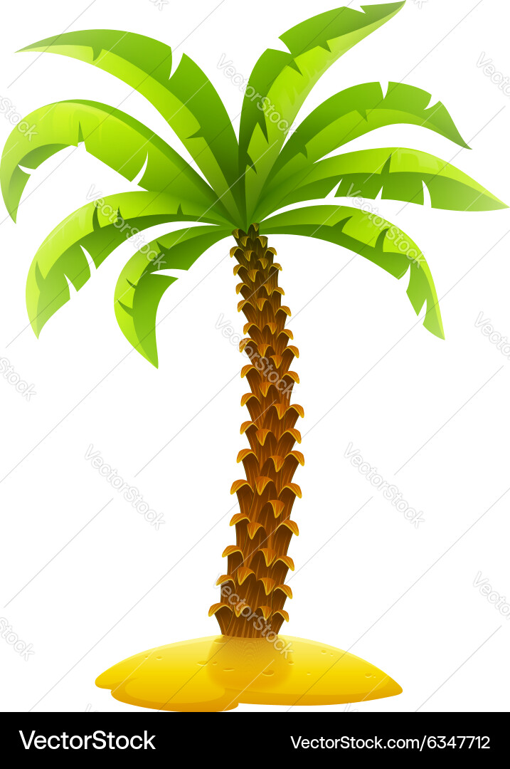 Palm Tree Coconut Clipart
