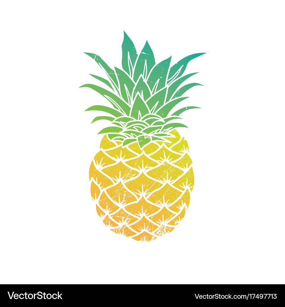 Pineapple Texture Vector Images (over 6,700)