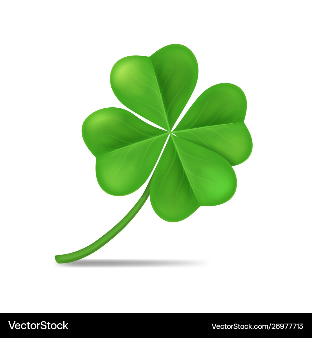 Realistic 3d detailed green shamrock leaf Vector Image